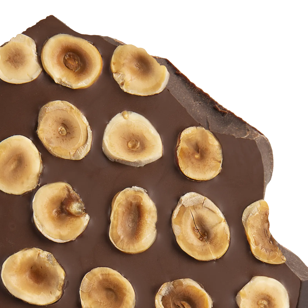 Hazelnut Gourmet Chocolate Bar – Chocolat Michel Cluizel